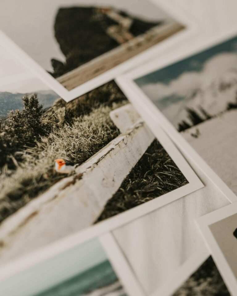 Spell Remember — A Quick Spelling Guide - INK