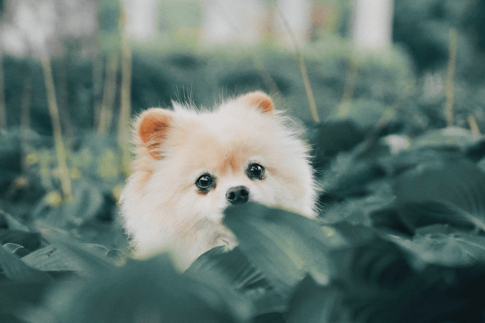 Cute Naughty Captions And Quotes For Insta Pic Ink